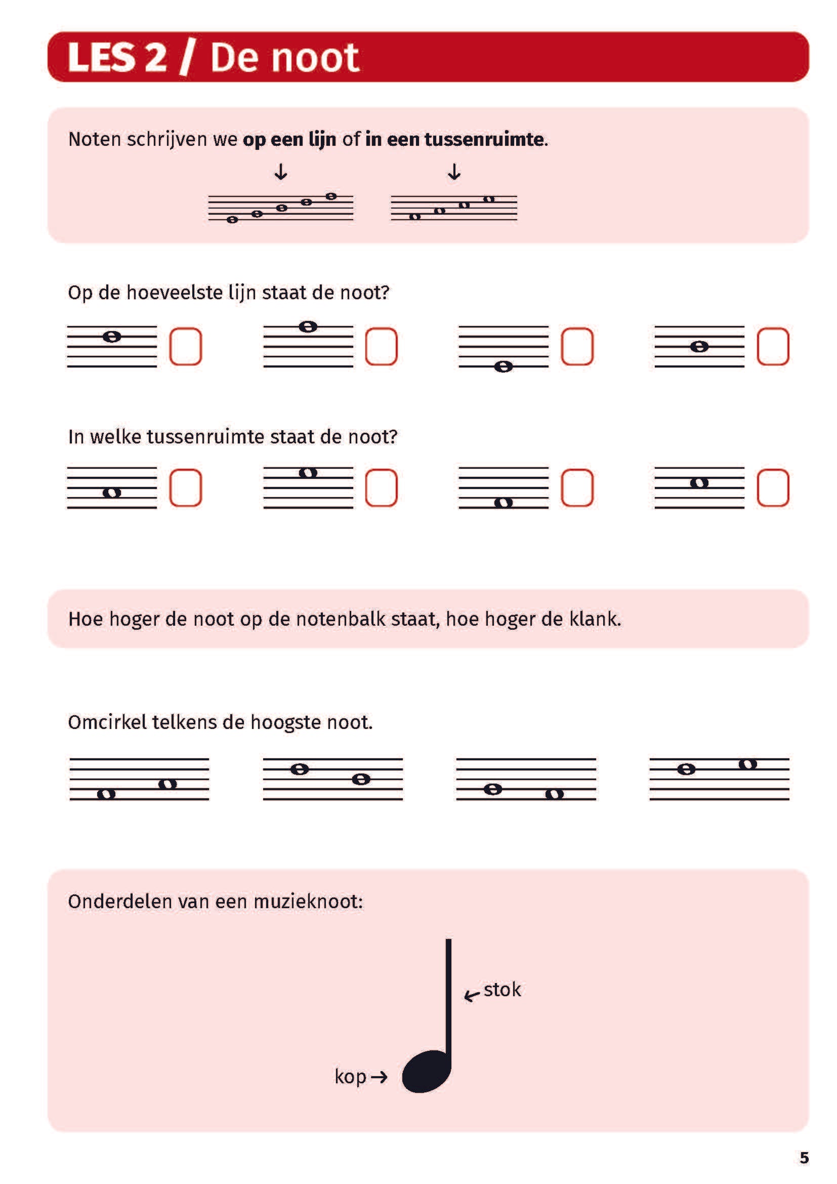 Ontdek de Magie van Notenleer voor Volwassenen: Een Nieuwe Start in de ...